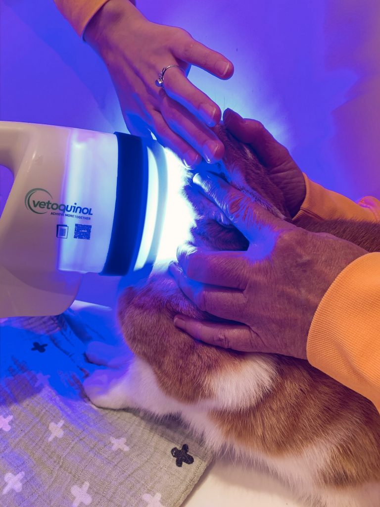 Phovia Lichttherapie | Dierenkliniek Lunetten