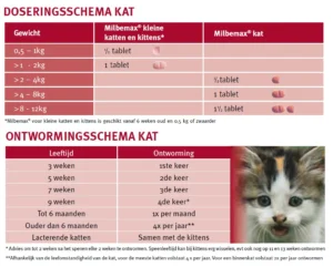 Uw kat ontwormen – Dierenkliniek Lunetten Utrecht