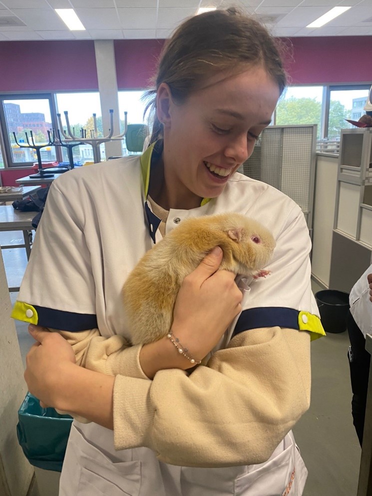 Stagiaire Jinte Bos | Dierenkliniek Lunetten